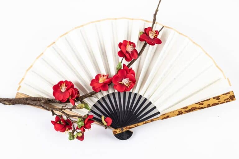 The Interesting Story of the Fan in Time!